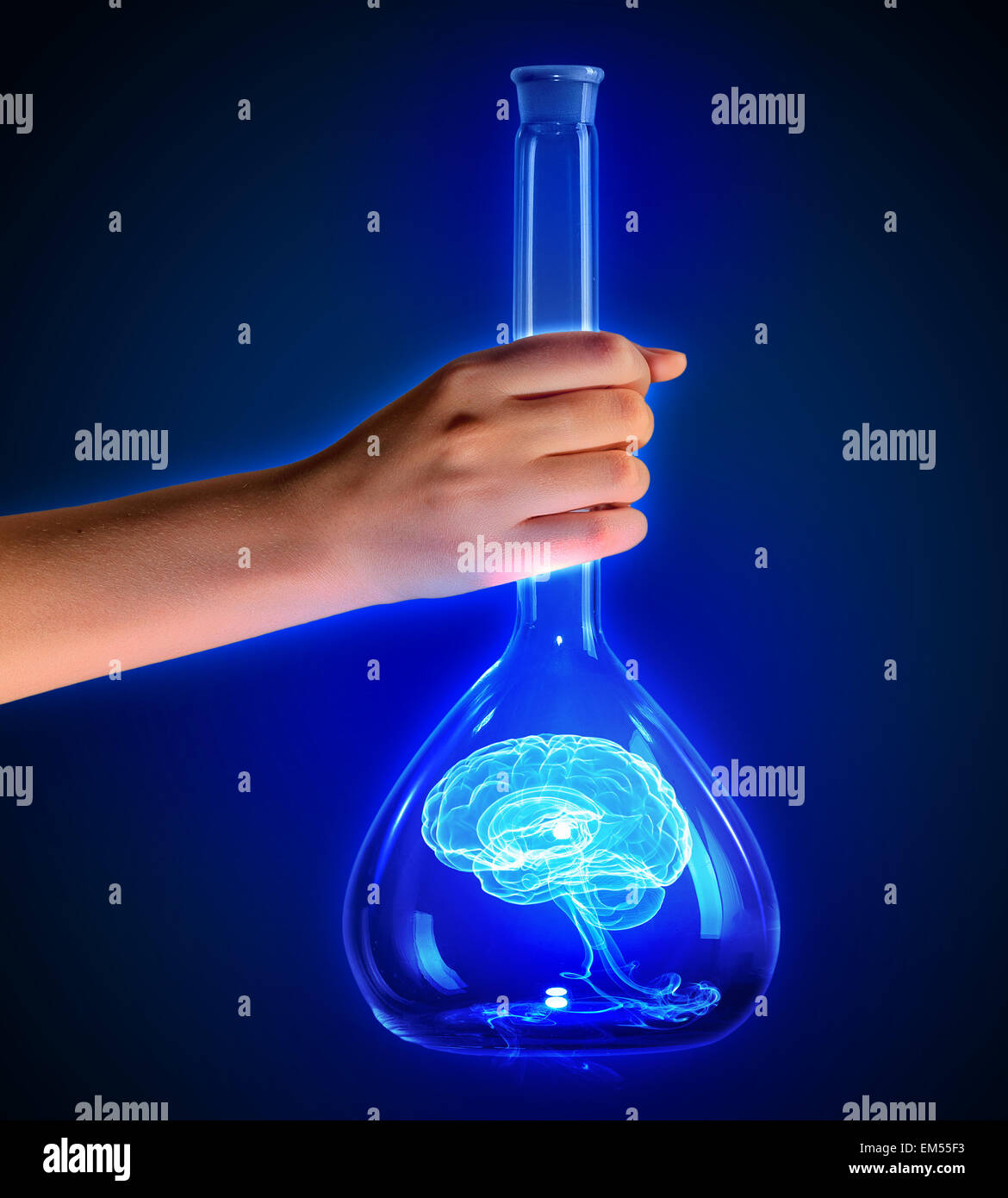 Human brain in test tube Stock Photo - Alamy