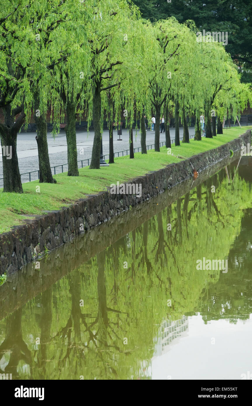 Water walking tokyo pool hi-res stock photography and images - Alamy