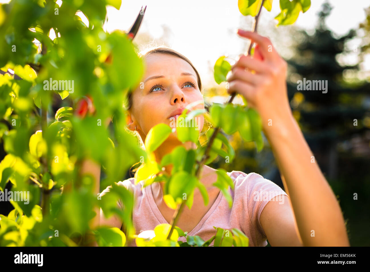Pretty female gardener taking care of her lovely garden Stock Photo - Alamy