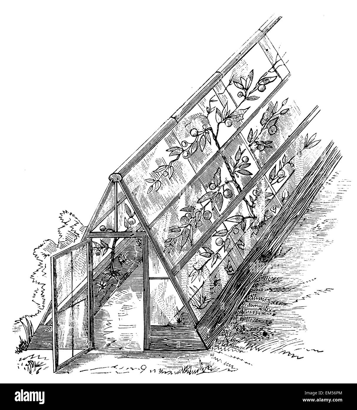 Vintage greenhouse hi-res stock photography and images - Alamy