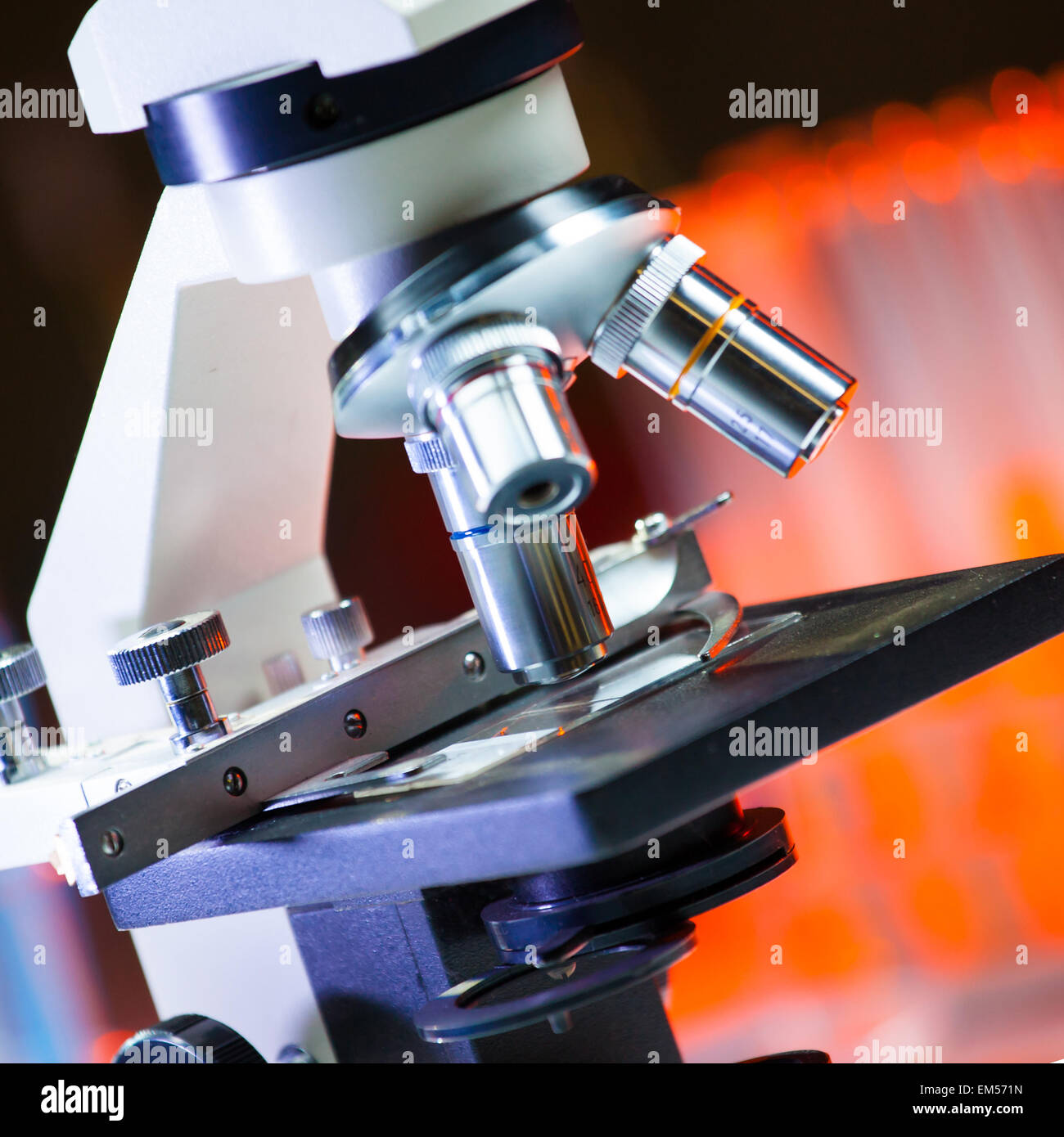 Microscope plate hi-res stock photography and images - Alamy