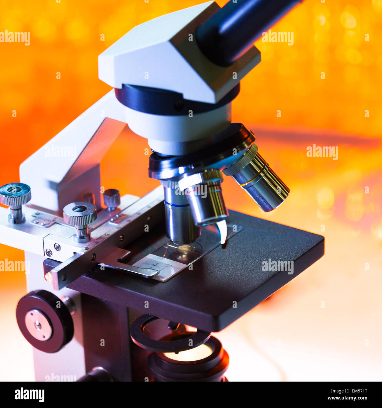Microscope plate hi-res stock photography and images - Alamy