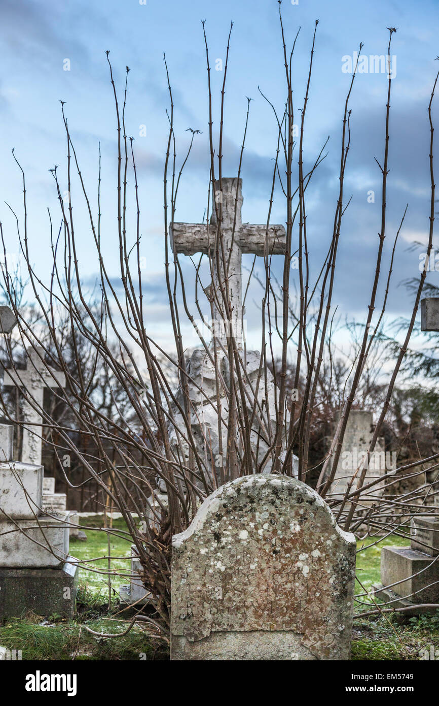 Cross & gravestone at Wardlaw Mausoleum in Scotland Stock Photo - Alamy