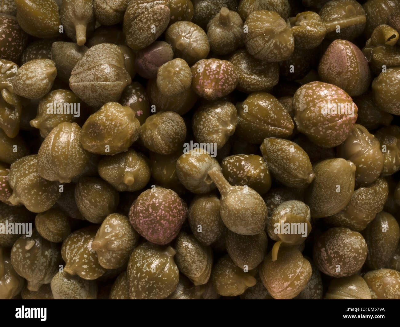 Sicilian caper hi-res stock photography and images - Alamy