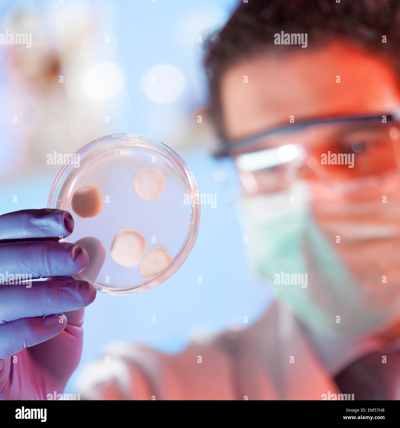 Scientist observing petri dish Stock Photo - Alamy