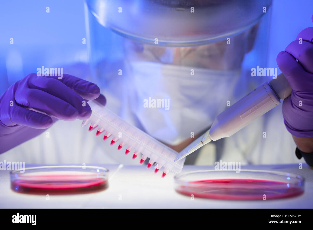 Working in the laboratory with a high degree of protection Stock Photo ...