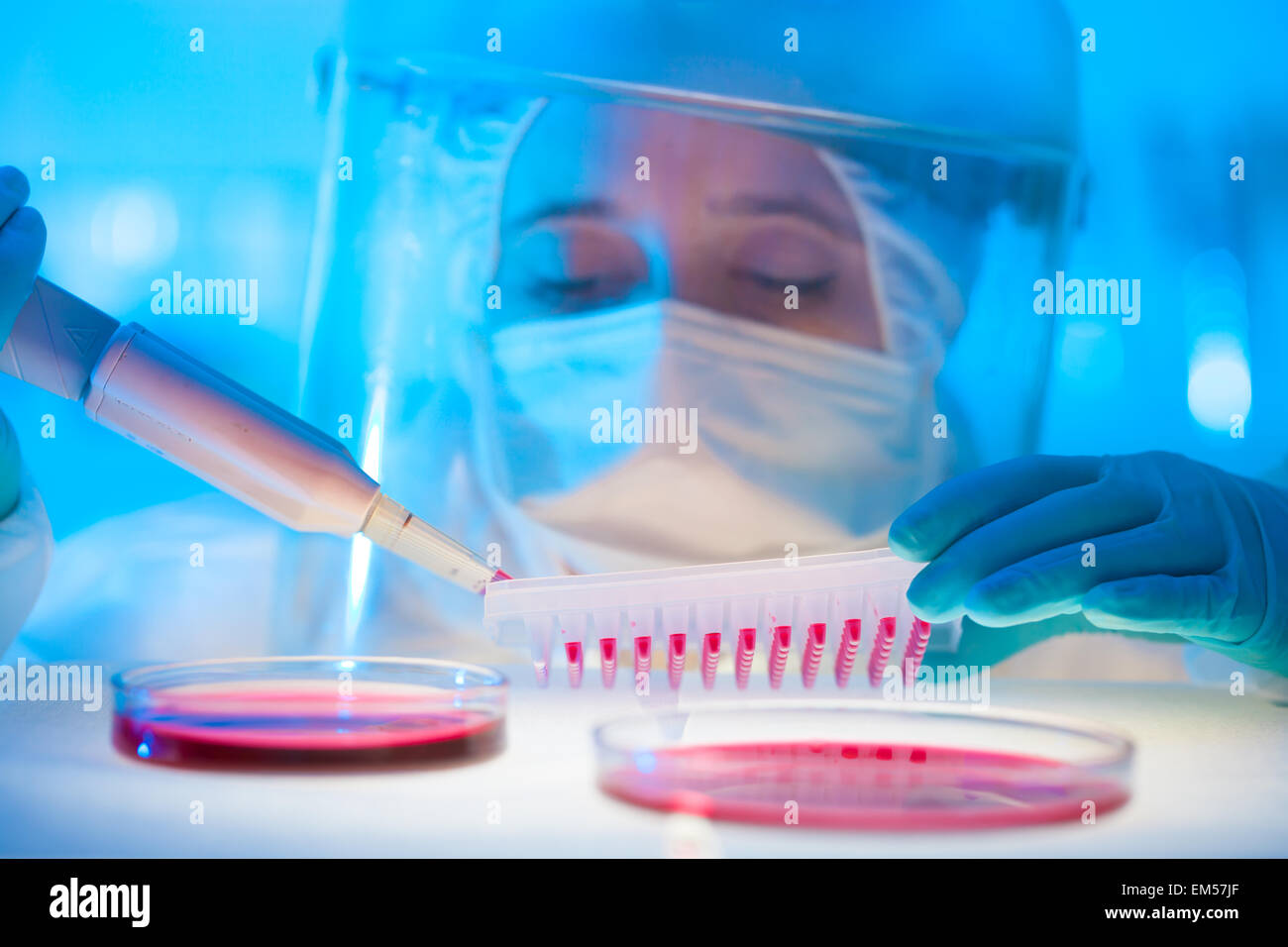 Working in the laboratory with a high degree of protection Stock Photo ...