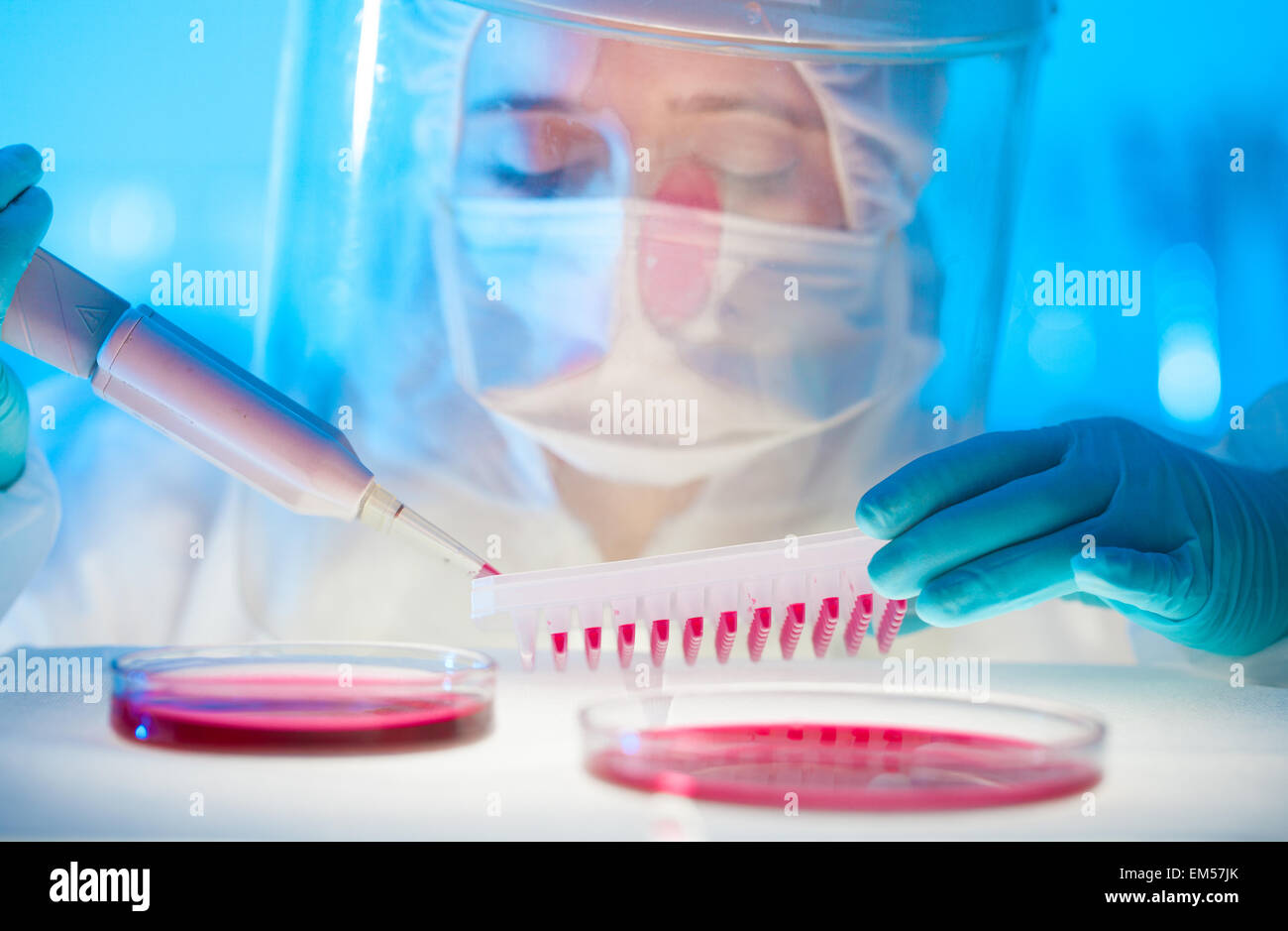 Working in the laboratory with a high degree of protection Stock Photo ...