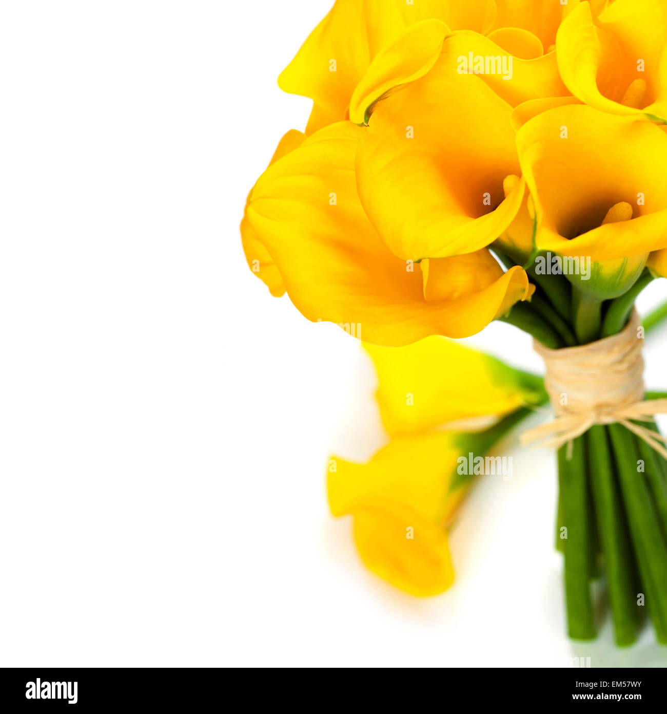 Beautiful Calla Lilly Bouquet Stock Photo - Alamy