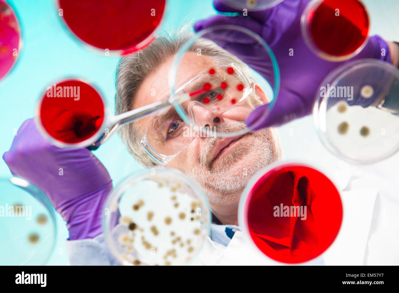 Life science research Stock Photo - Alamy
