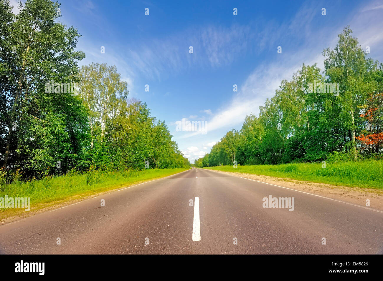 Smooth asphalt road surrounded by forest Stock Photo - Alamy