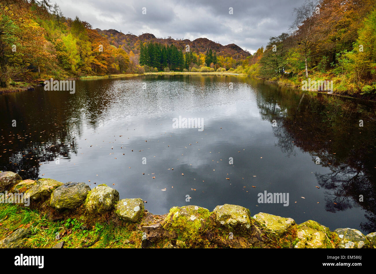 Yew Tree Tarn in the Lake District National Park, Cumbria Stock Photo ...