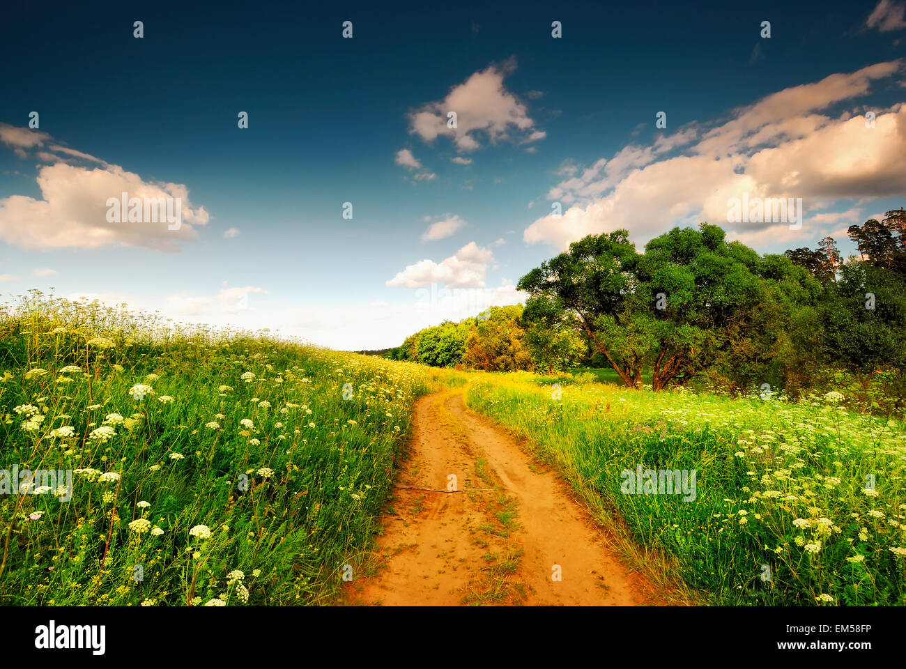 The road into a field Stock Photo - Alamy