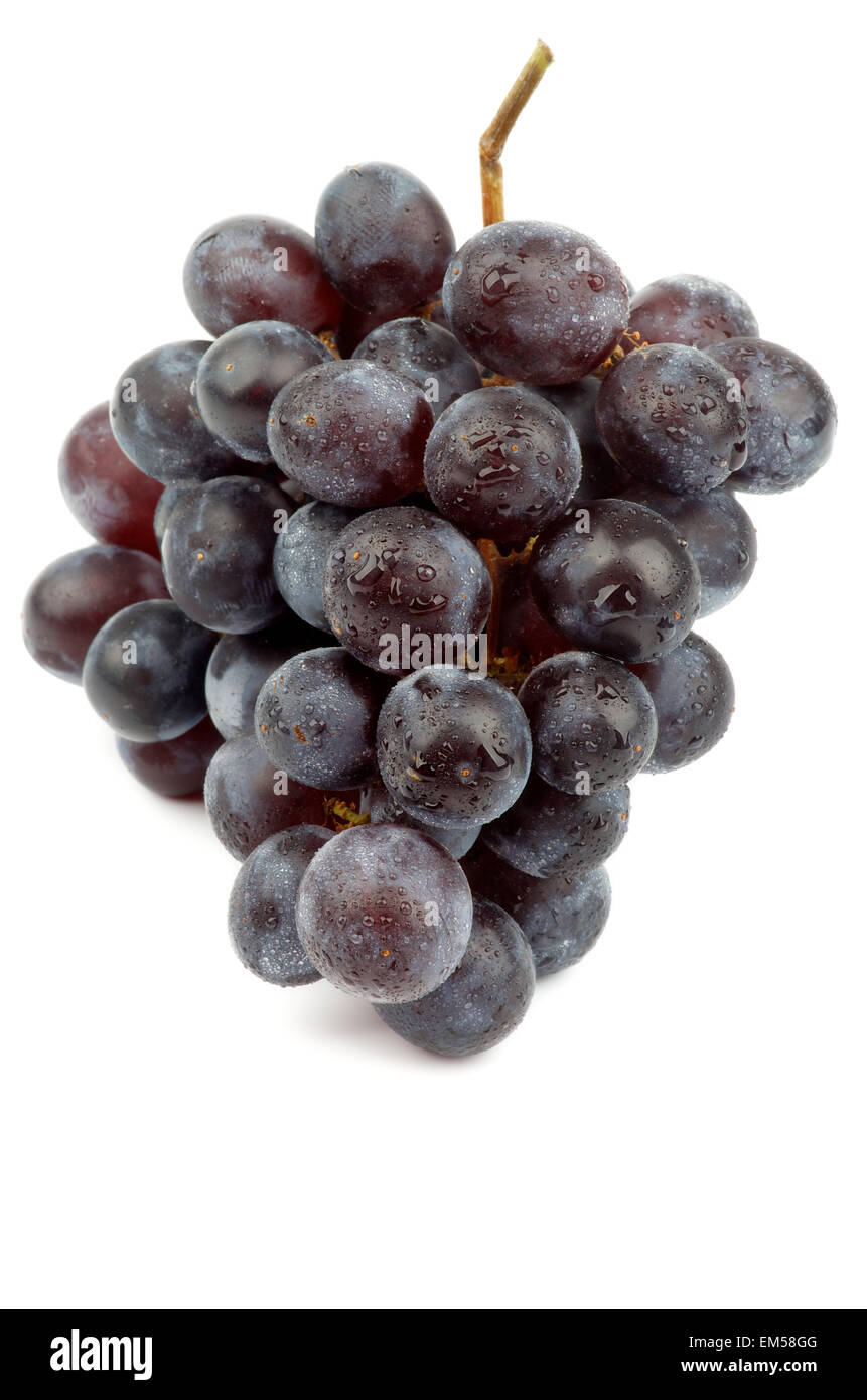 Red ripe grape on hi-res stock photography and images - Alamy