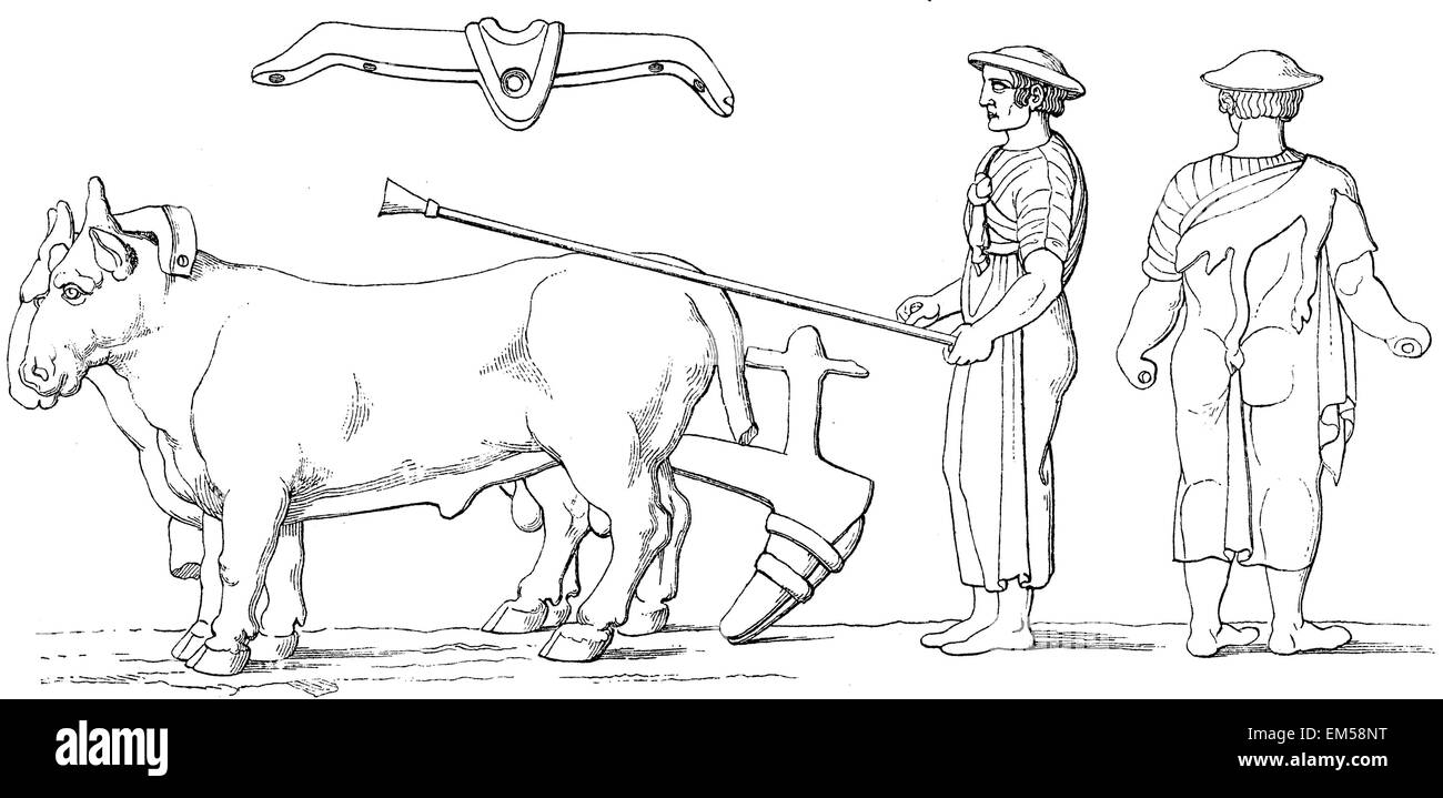 Roman plow historical hi-res stock photography and images - Alamy