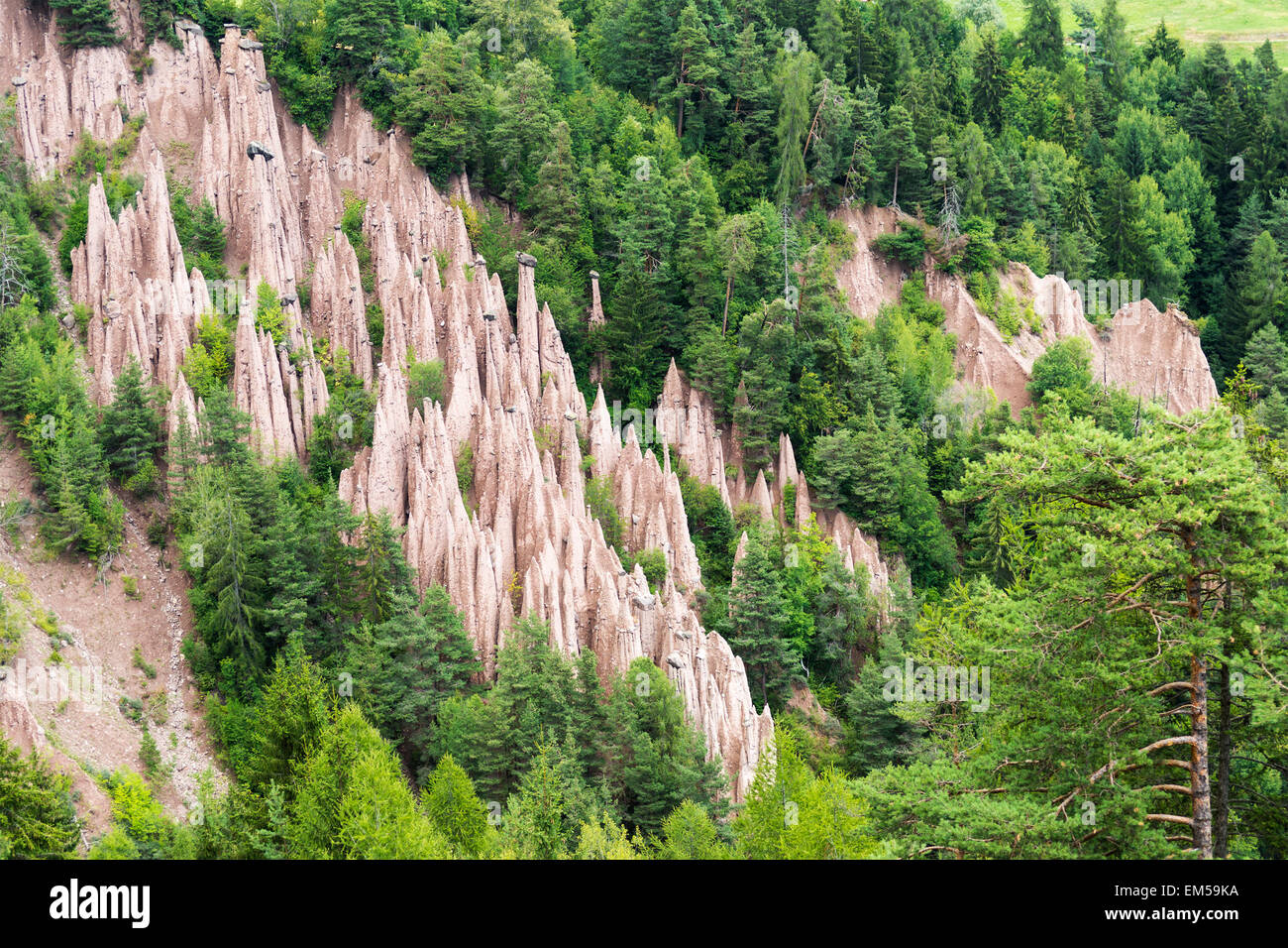 earth pyramids near Renon - Bolzano, Trentino-Alto Adige, Italy Stock ...