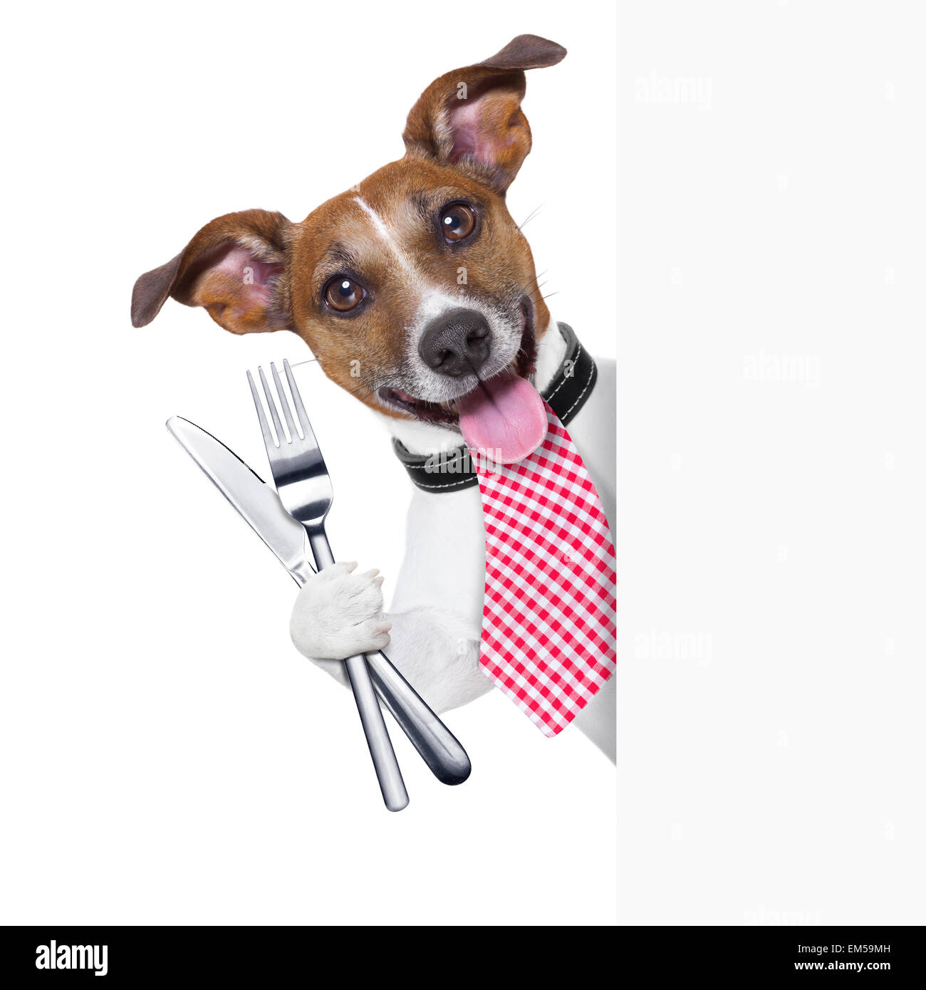 Dog fat jack hi-res stock photography and images - Alamy