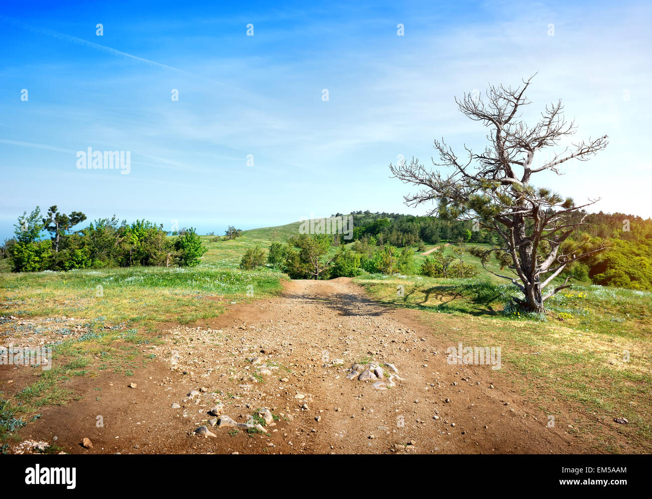 Sandy road in a field Stock Photo - Alamy