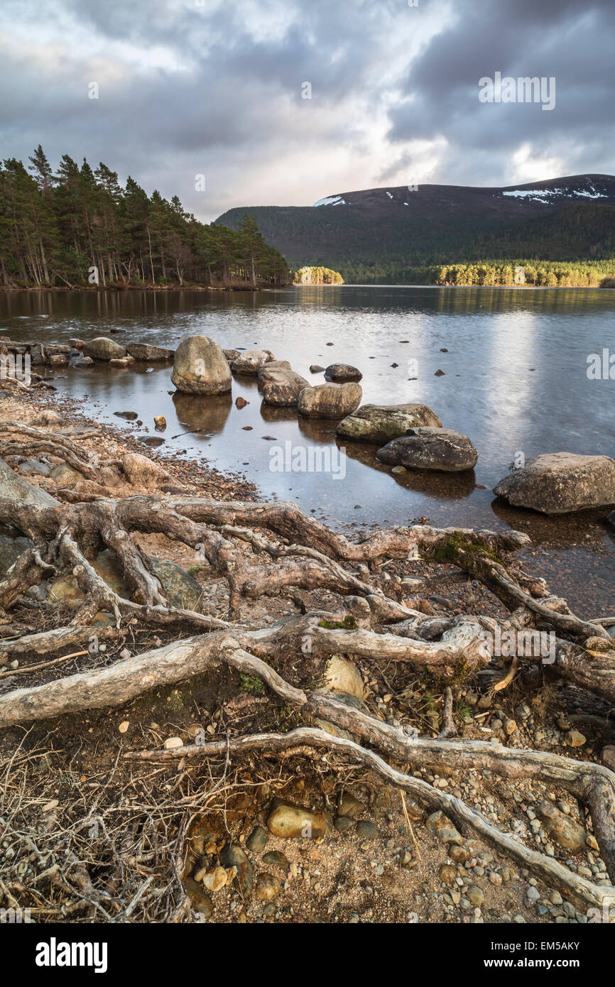 Loch-an-Eilein at Aviemore in the Highlands of Scotland Stock Photo - Alamy