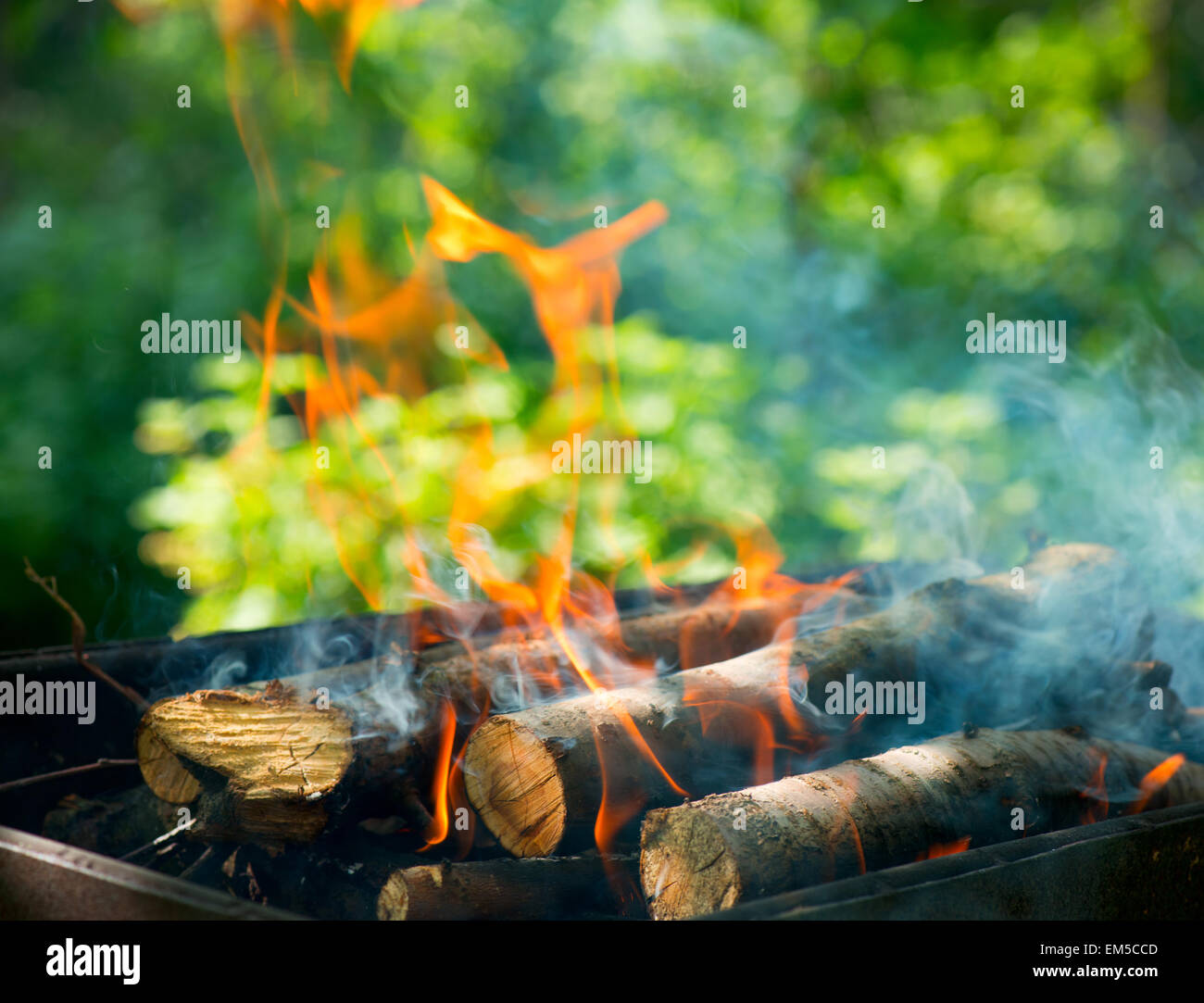 BBQ Fire outdoor. Bonfire closeup Stock Photo - Alamy