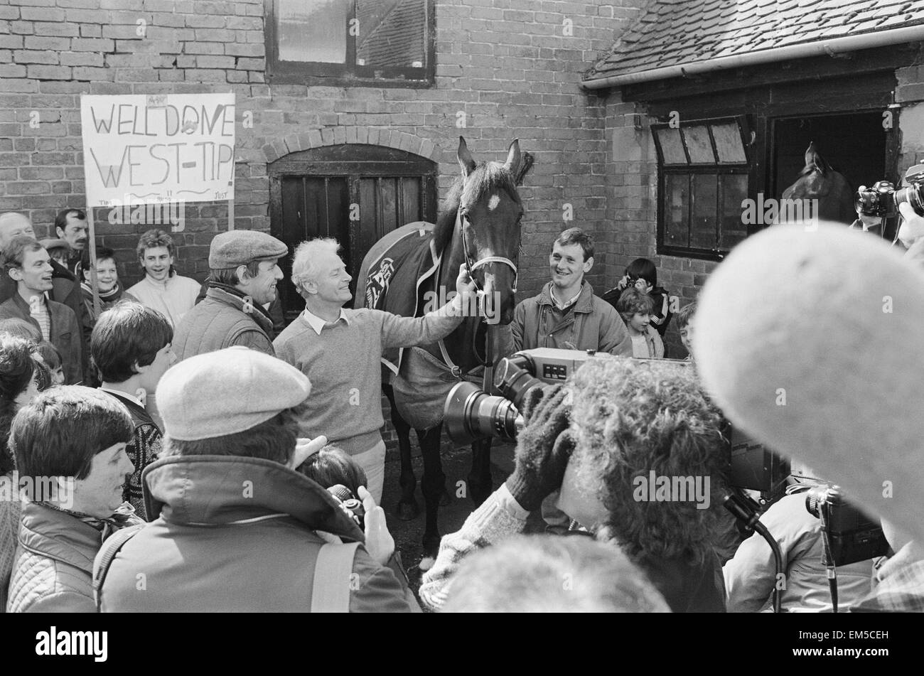 West Tip seen here on his return to his stables after winning the 1986 Grands National ...