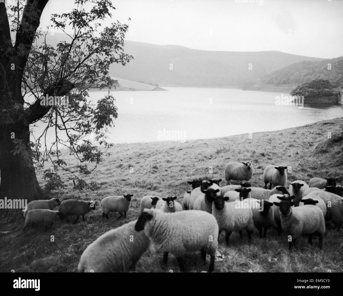 Ladybower Reservoir on the Snake Road to Sheffield. scenic - river lake ...