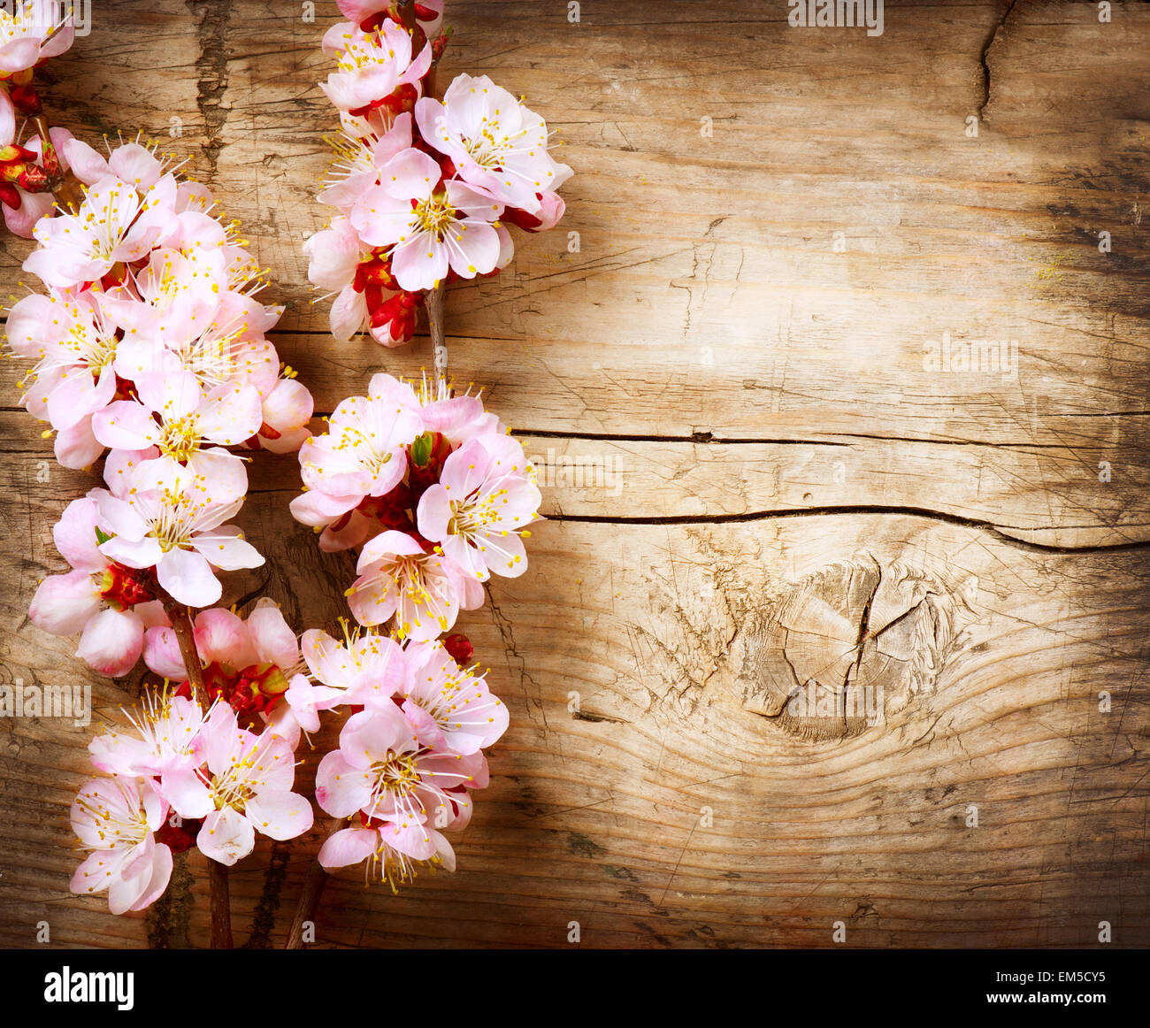 Vintage spring blossom border hi-res stock photography and images - Alamy