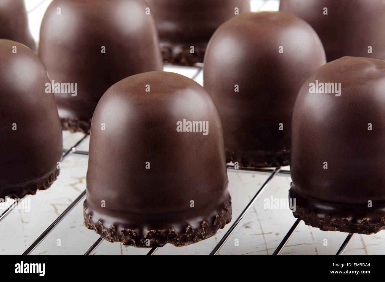 with chocolate coated marshmallow Stock Photo - Alamy