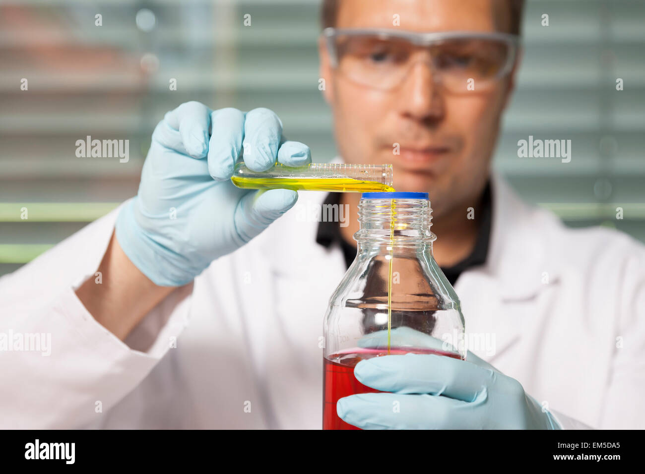 Yellow laboratory hi-res stock photography and images - Alamy