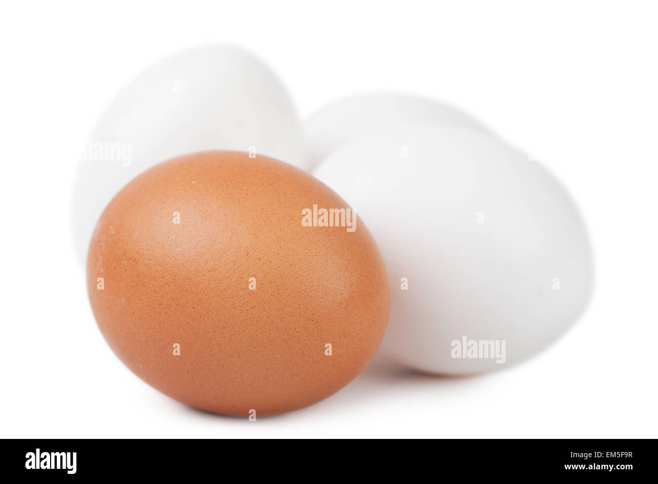 Macro front view white Cut Out Stock Images & Pictures - Alamy