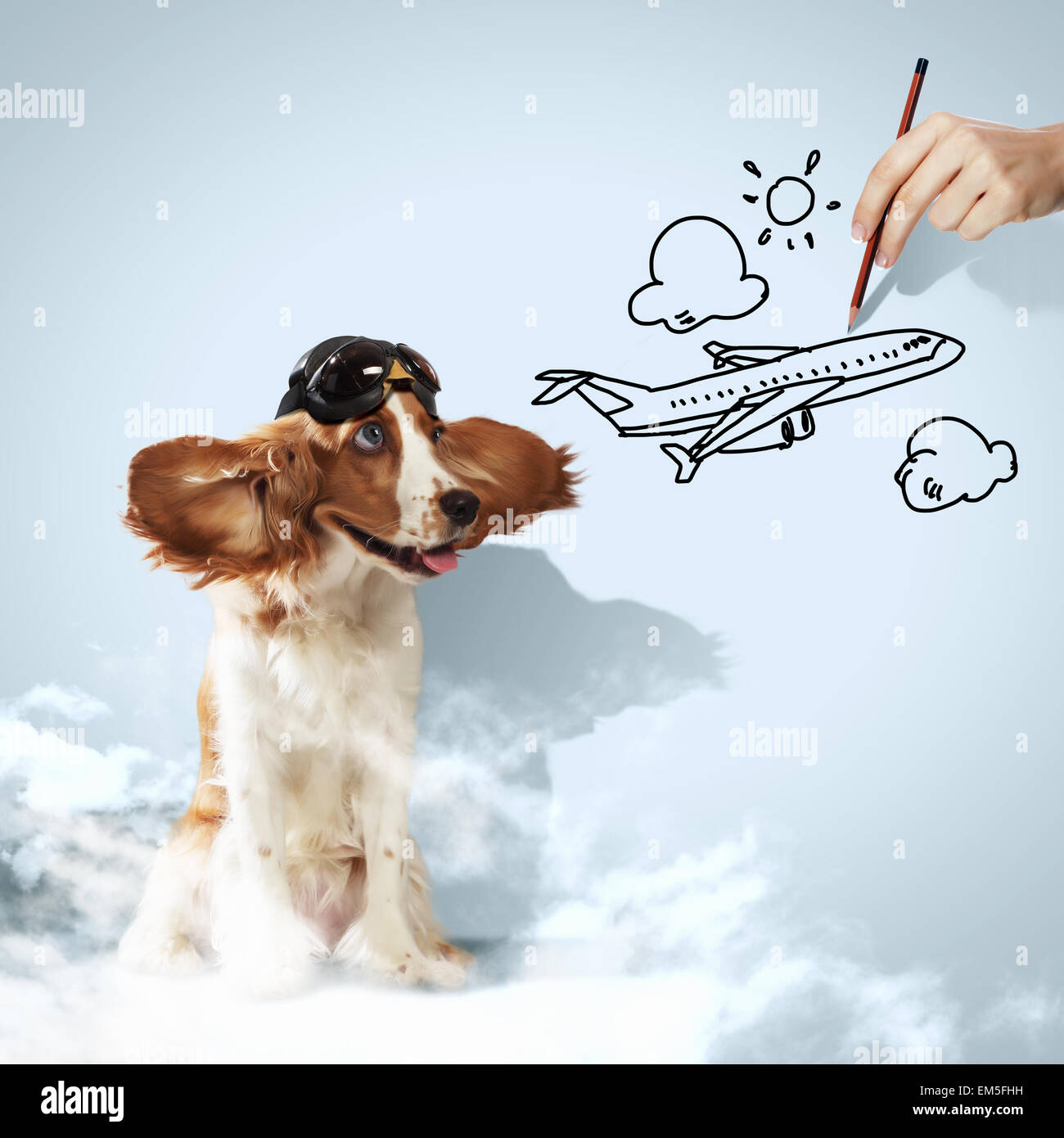 Funny spaniel dog Stock Photo - Alamy