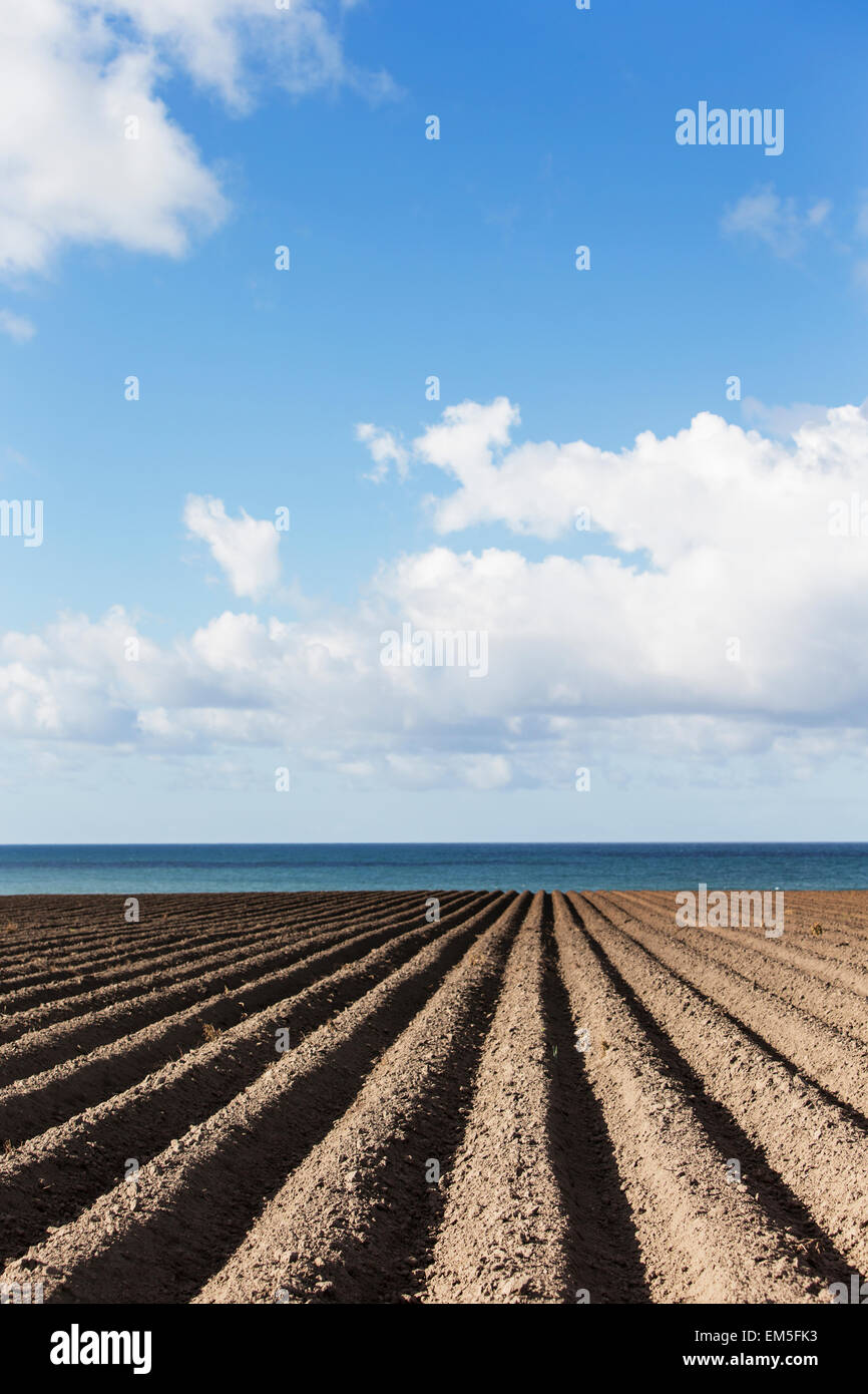 Freshly plowed hi-res stock photography and images - Alamy