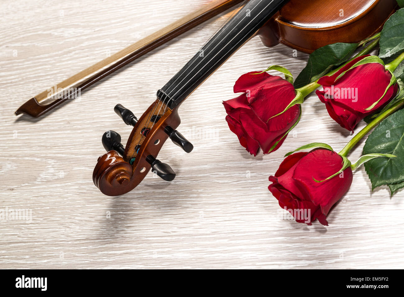 Violin music instrument rose hi-res stock photography and images - Alamy