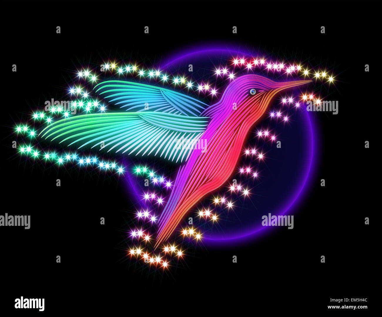 Rainbow hummingbird hi-res stock photography and images - Alamy