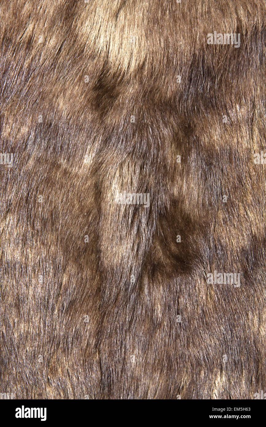 Black Fur Texture Stock Photos & Black Fur Texture Stock Images - Alamy