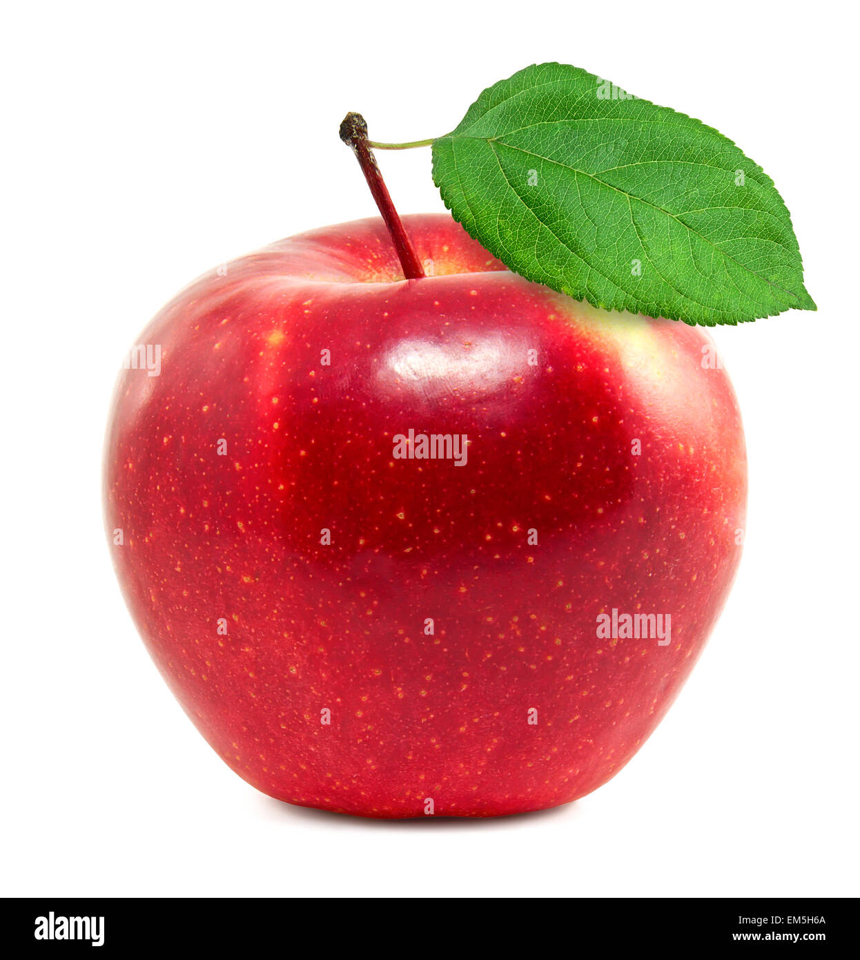 Fresh red apple Stock Photo - Alamy