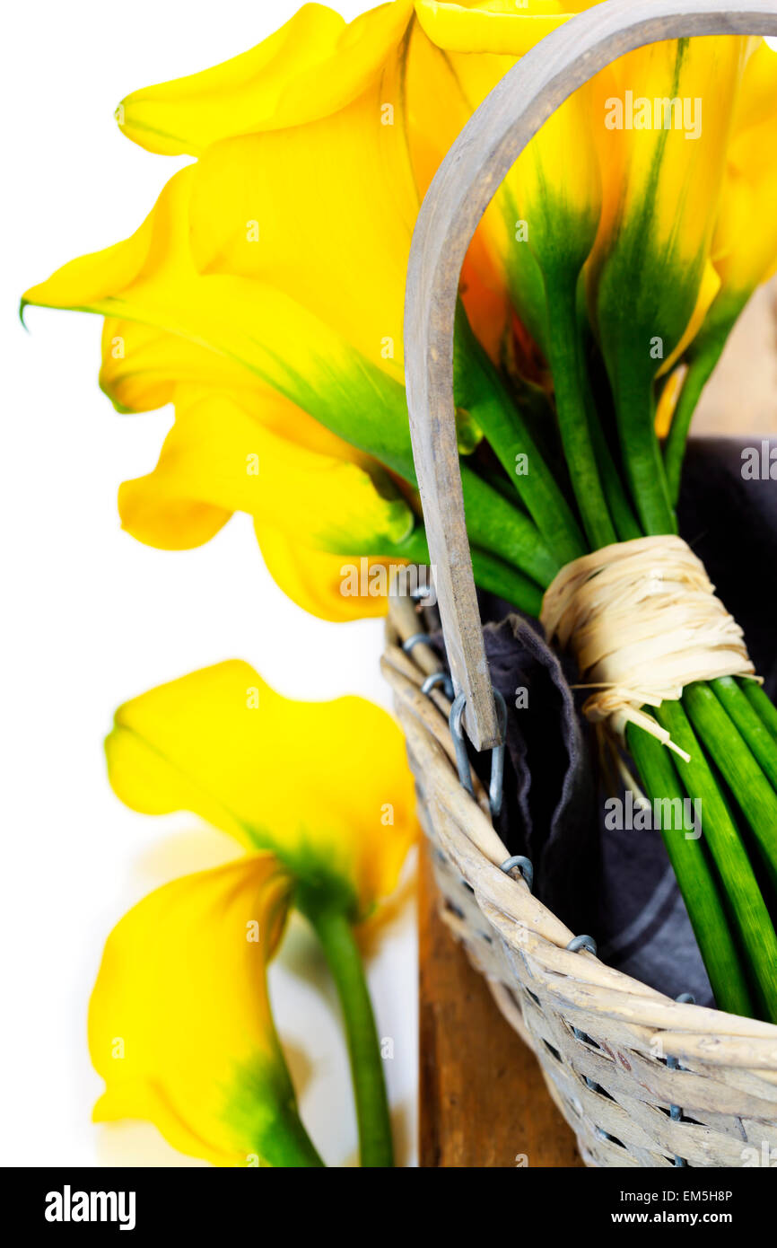 Beautiful calla lilies bouquet Stock Photo - Alamy
