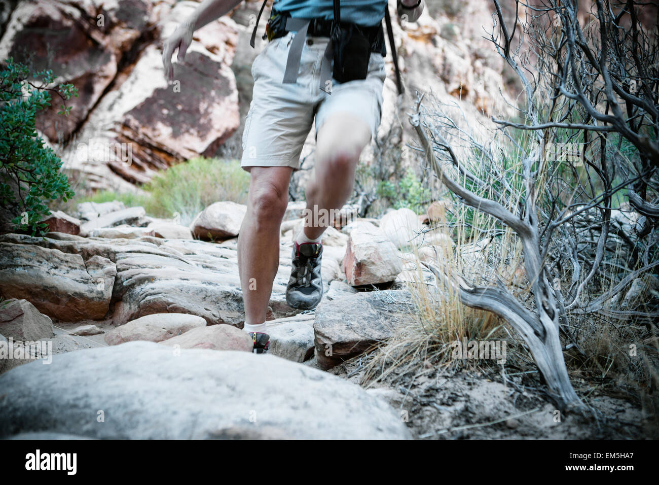 A female hikers legs Stock Photo - Alamy
