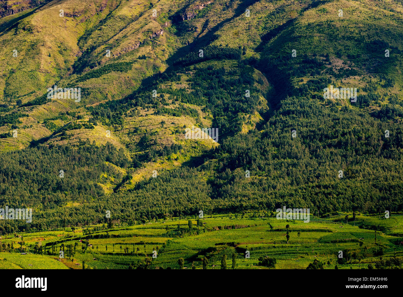 Plantation area on the foot of Mount Sundoro volcano, Central Java ...