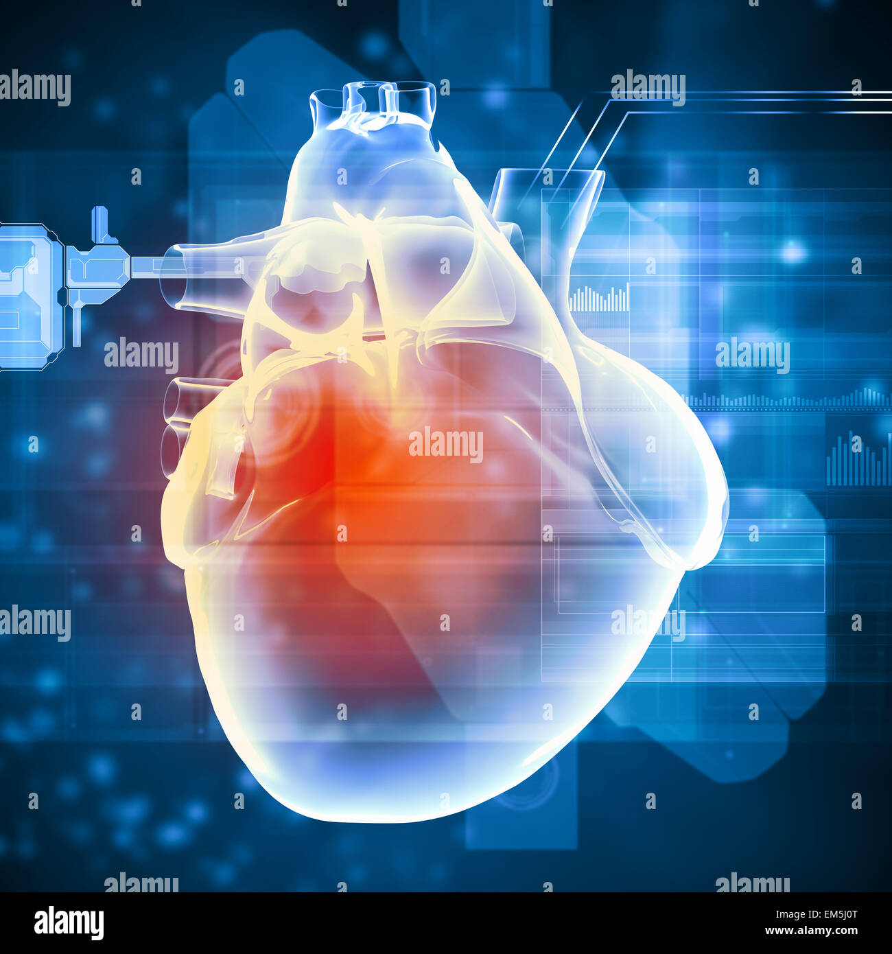 Human heart beats Stock Photo - Alamy