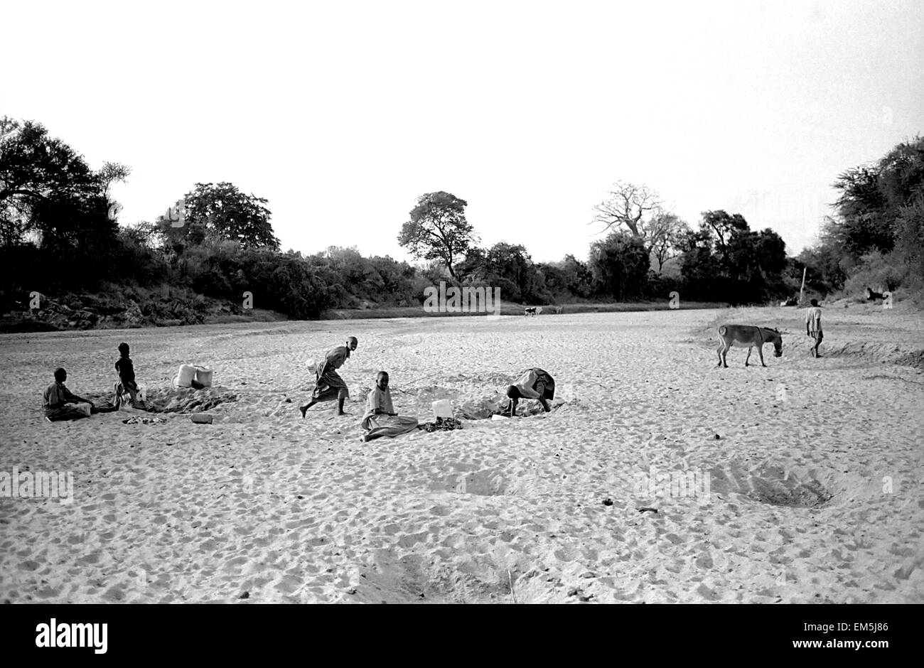 Boran Kenya High Resolution Stock Photography and Images - Alamy