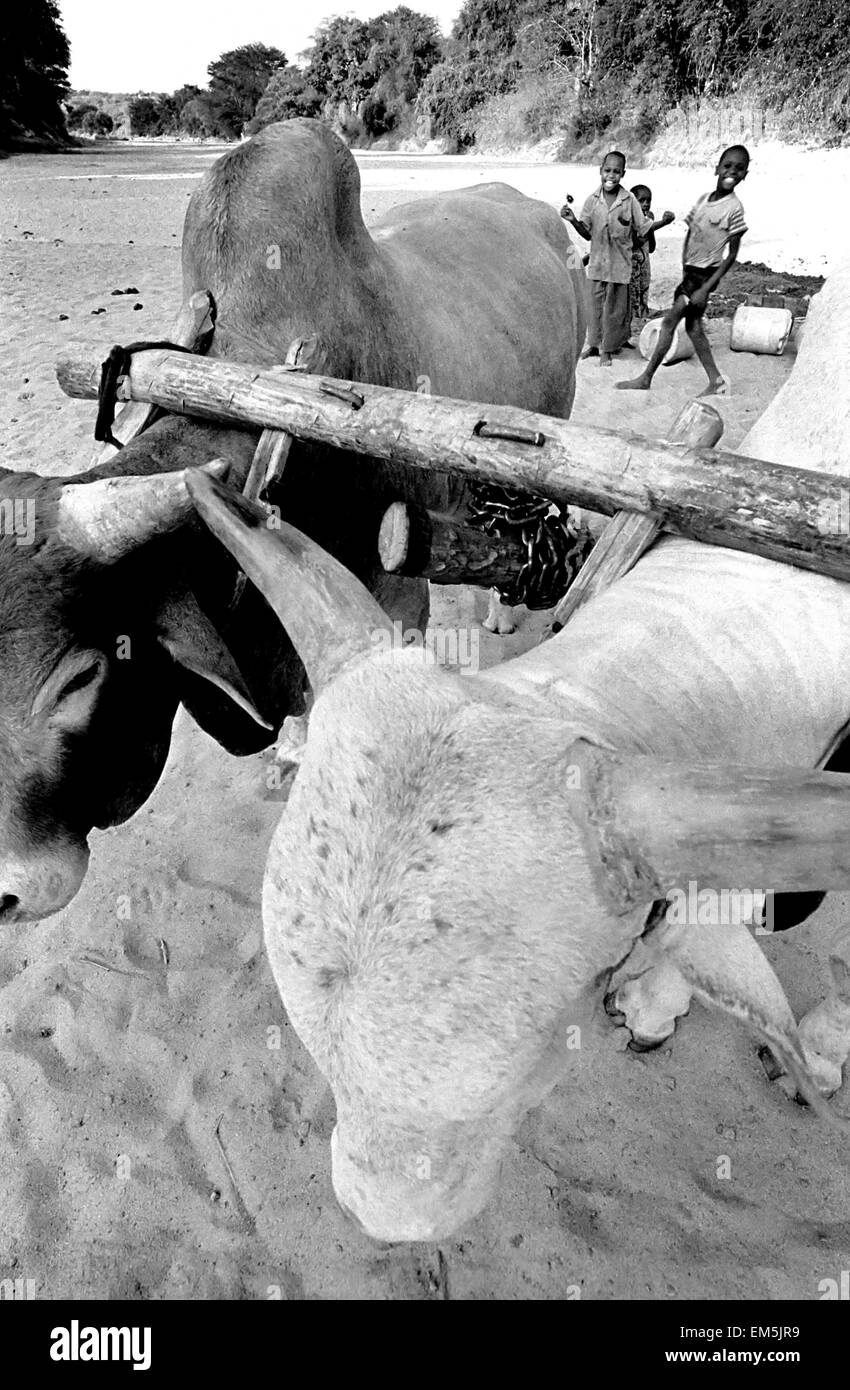 Kenya (and more specifically Ikutha) is characterized is characterized ...