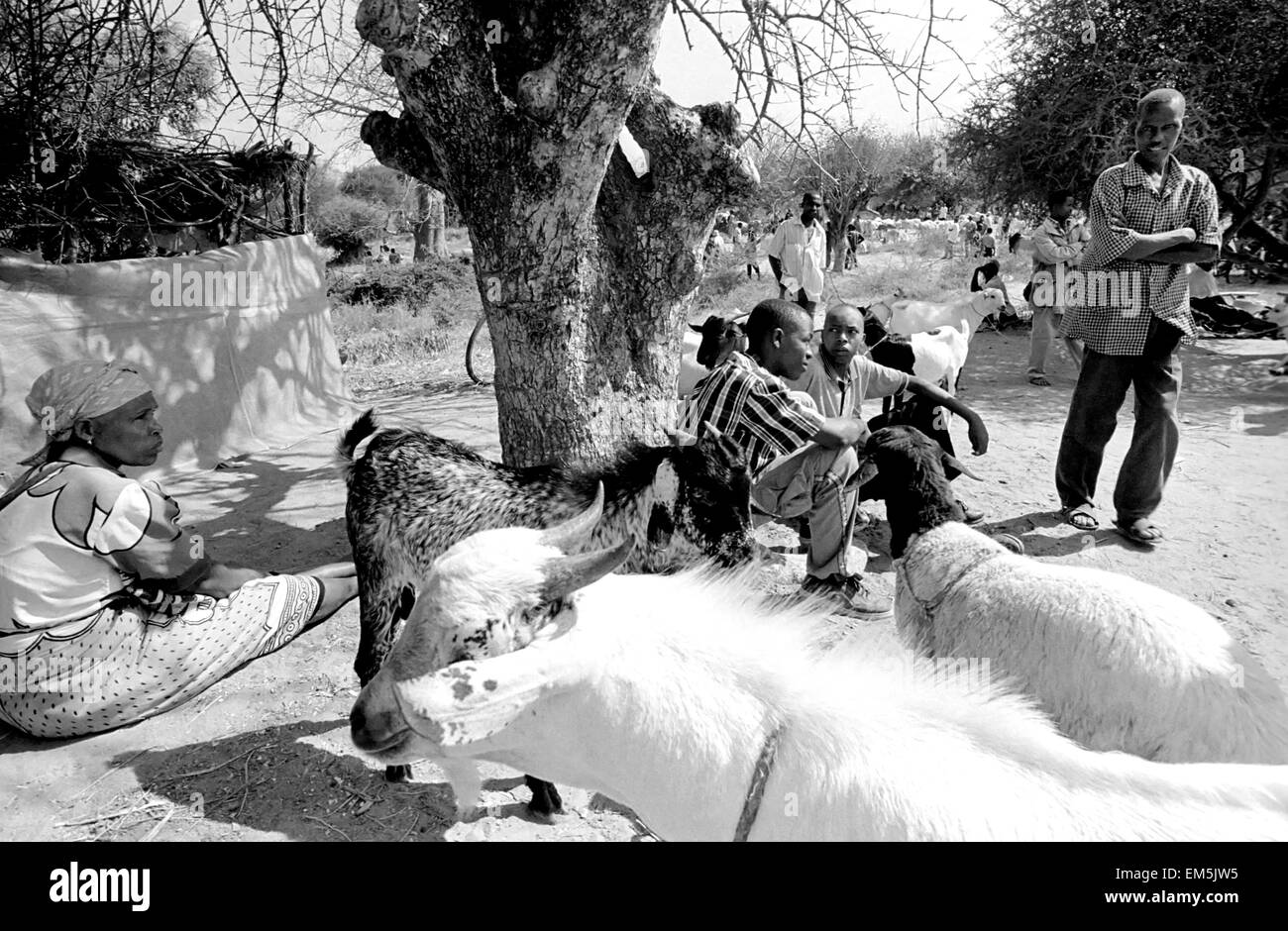 Market day in Ikutha. Kitui, Kenya. As well as fruit, vegetables and ...