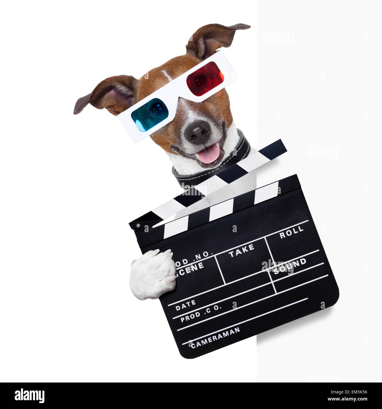 Funny dog video hi-res stock photography and images - Alamy