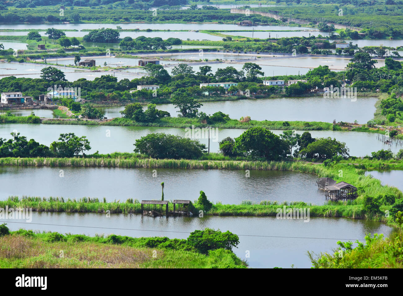 Fish hatchery pond Stock Photo - Alamy