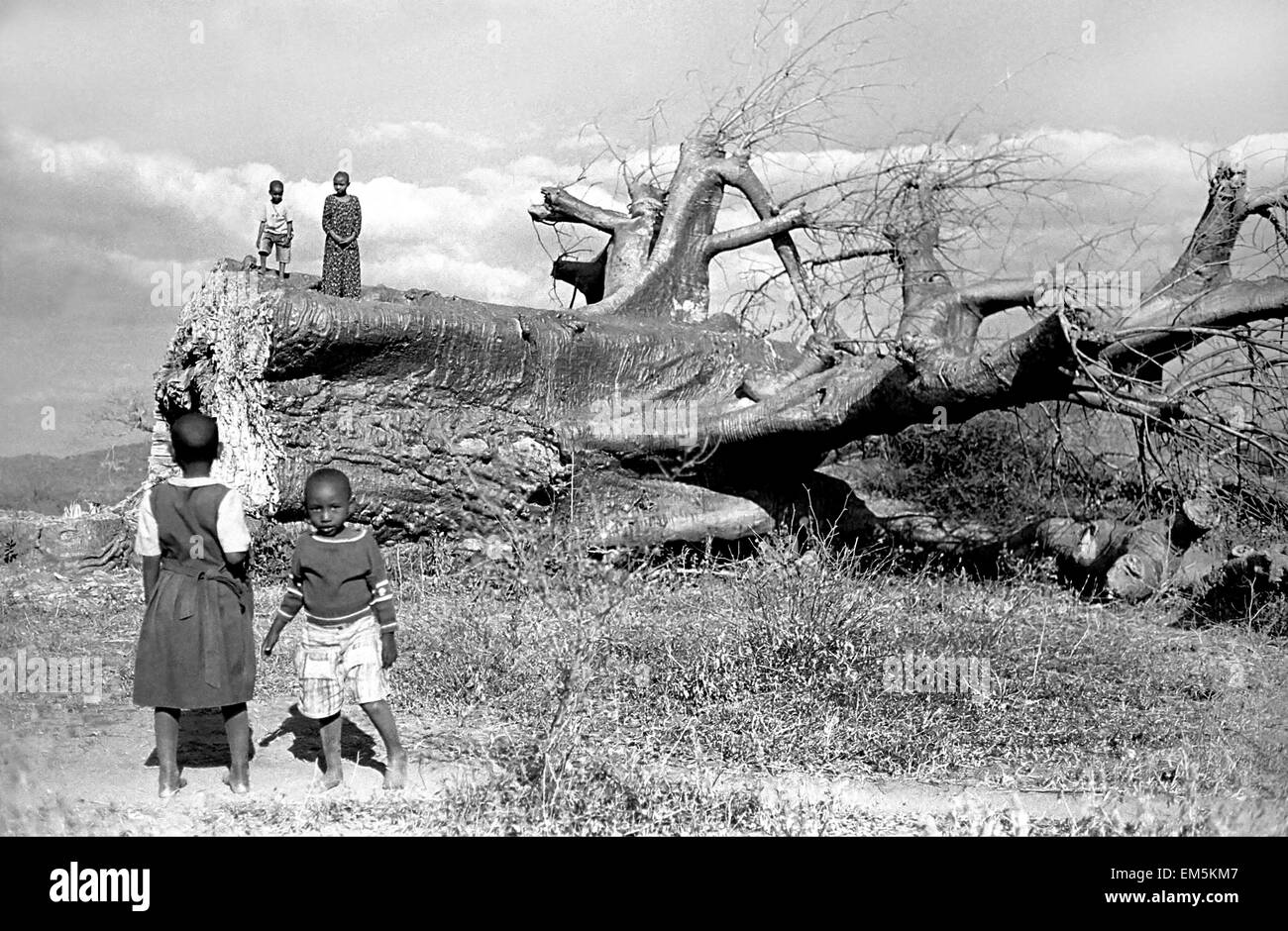 Two children play in rural Kenya. Ikutha, Kitui, Kenya. A baobab tree ...