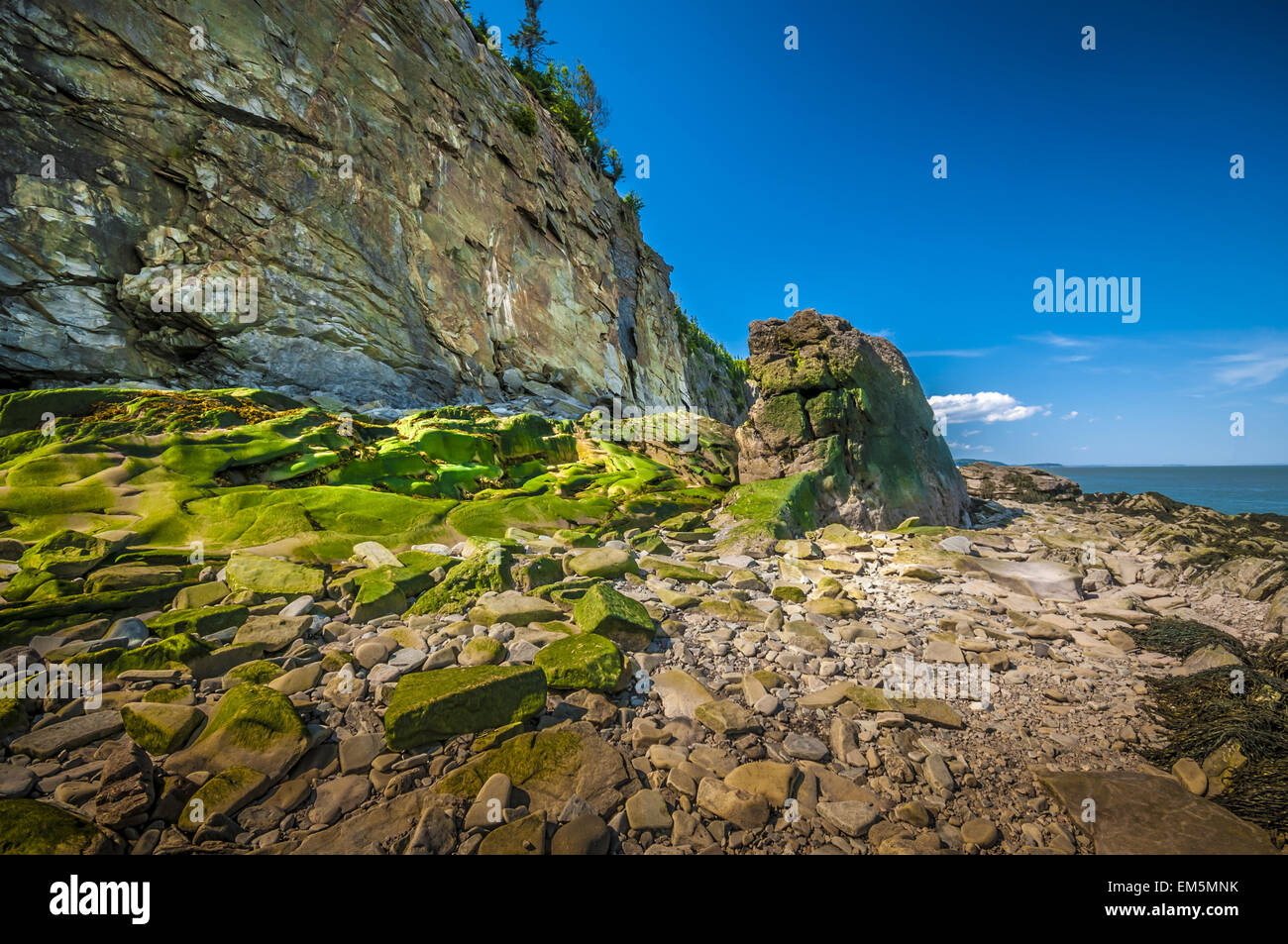 Enrage hi-res stock photography and images - Alamy