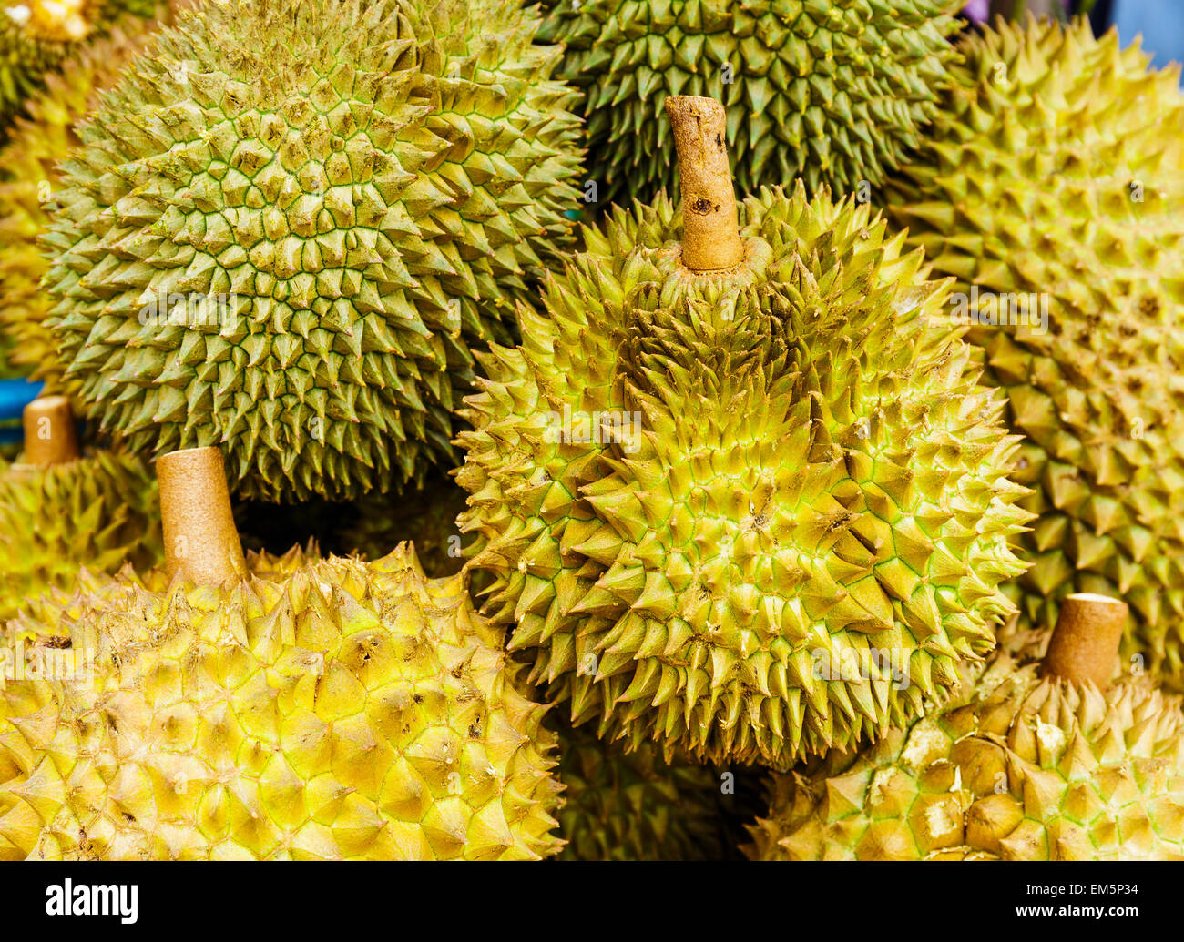 Durian durian hi-res stock photography and images - Alamy