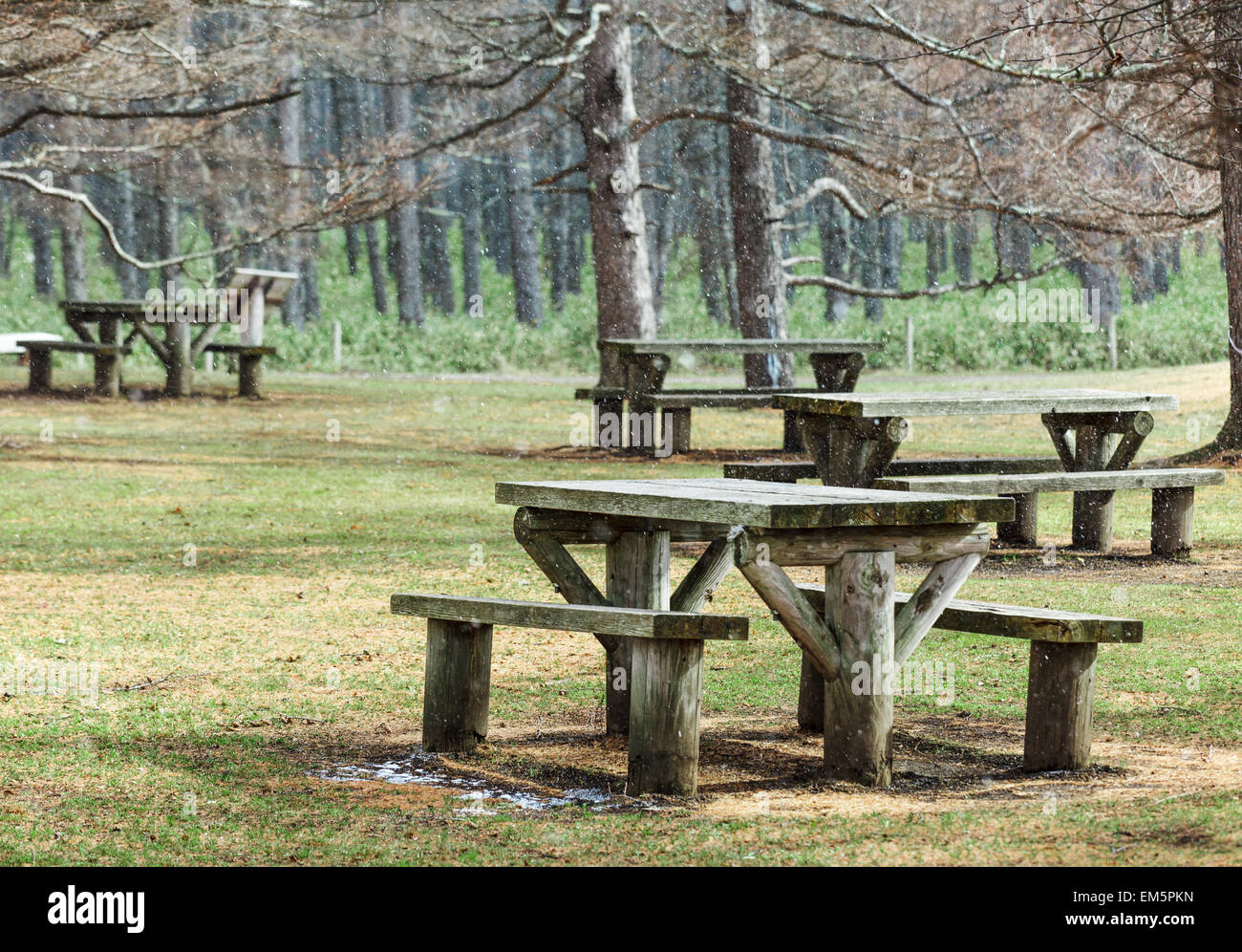 Picnic area in forest Stock Photo - Alamy