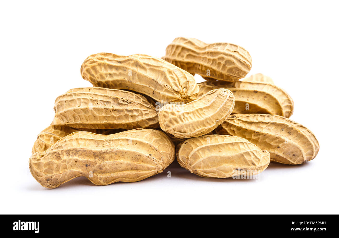 Peanut isolated on white Stock Photo - Alamy